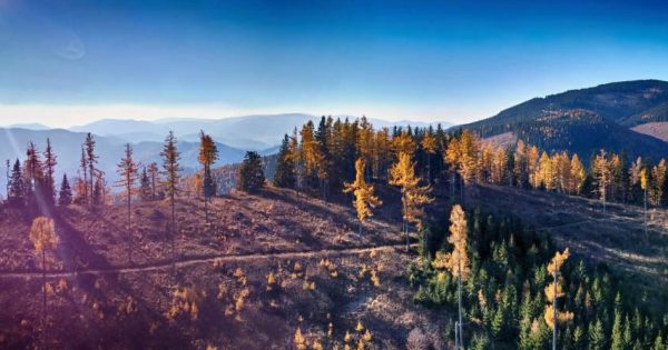 Predná hoľa – turistický magnet Nízkych Tatier a Slovenského raja